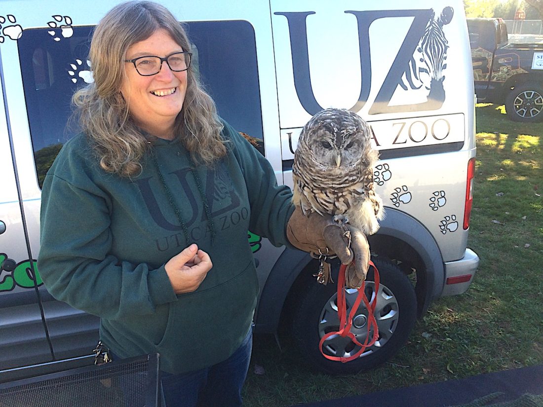 Moose Festival remains big draw for Hamilton County | News, Sports ...